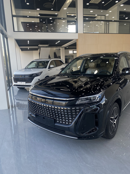 Fengon s508 hybrid