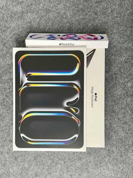 iPad Pro 11 inch (M4)