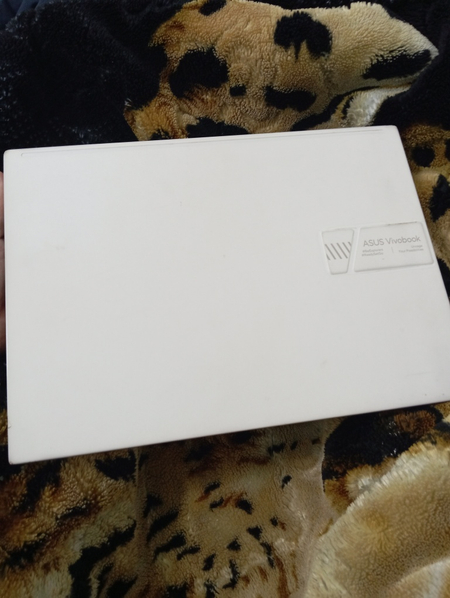Asus Vivobook Pro 14X OLED