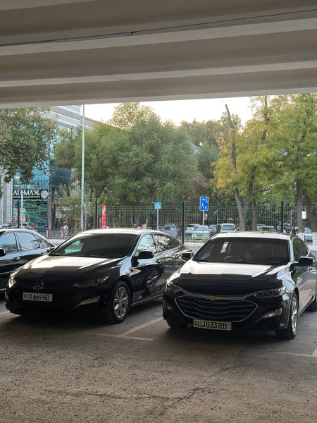 Malibu 2  Turbo Premier 2019 yil