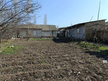 Toshkent hovli joy