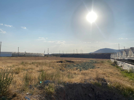 Продается Теплица 2,8га. Охангарон. Issiqxona sotiladi 2,8 gektar.