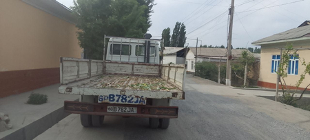 Uz Ota yol uzbek