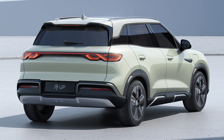 BYD yuan up 2024