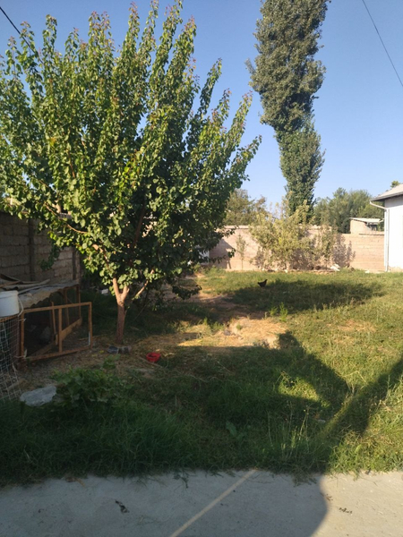 Kvartira qoyiladi 2 ta alohida uy