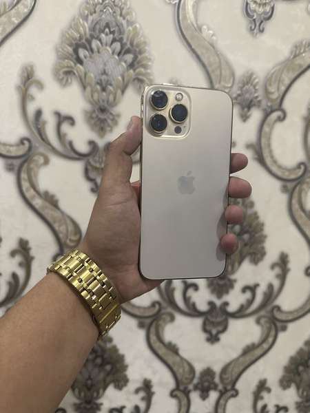 Iphone 13 pro max ideal