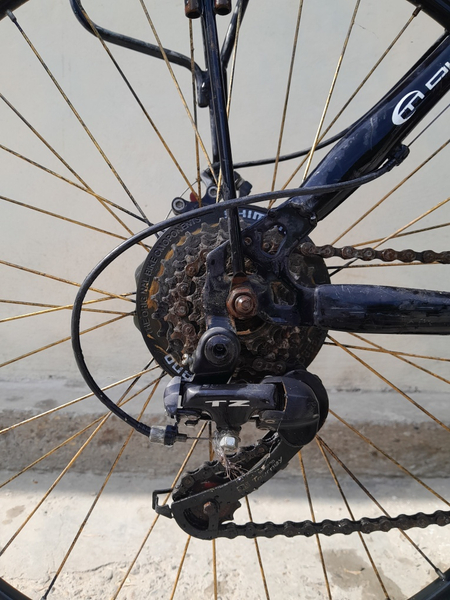 Velosped skoroznoy