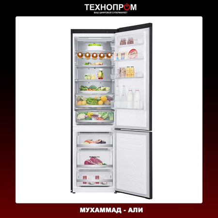 Купить холодильник LG GC-B509SBUM (384L)