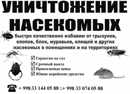 Проводим дезинсекцию тараканов, блох, клопов, комаров, мух и др