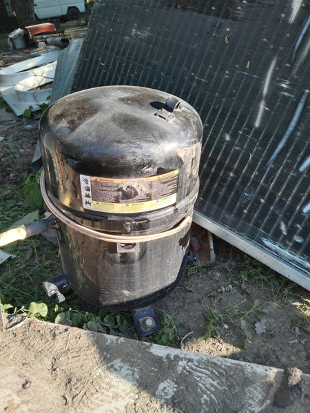 Kampisir sotiladi kandisanirdiki