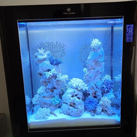 Akvarium yuqori sifatli Aquashop