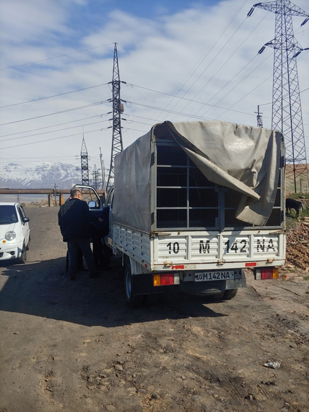 Changan 99 talik qo'shbalon