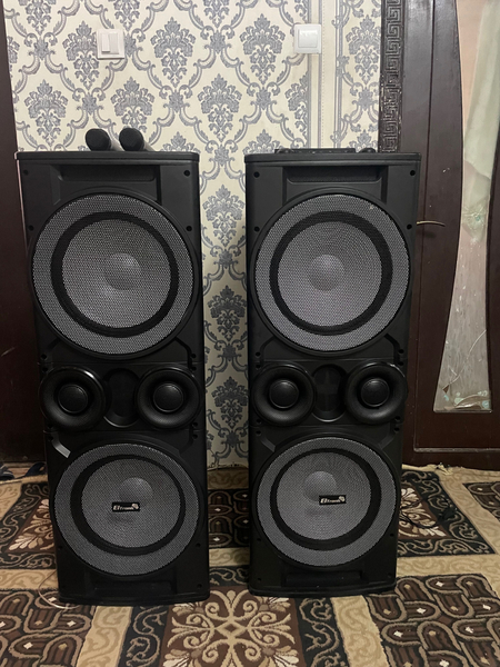 Музыкальный центр Elteonic 20-06