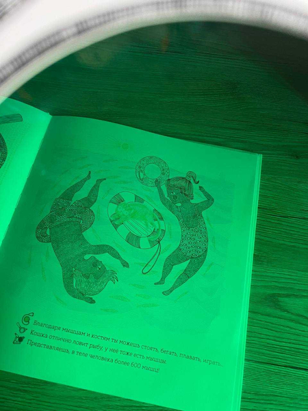 Книга Что у меня внутри