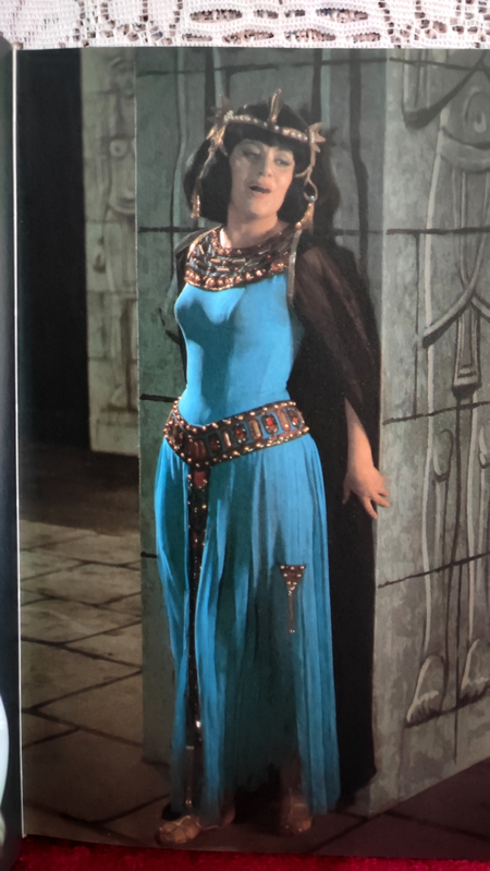 Книга Р. Шейко,Елена  Образцова ,Записки в пути.