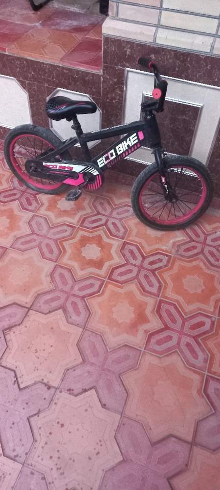 Eko bike velosiped