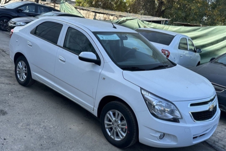 Arenda vikup Cobalt 4-poz 2023