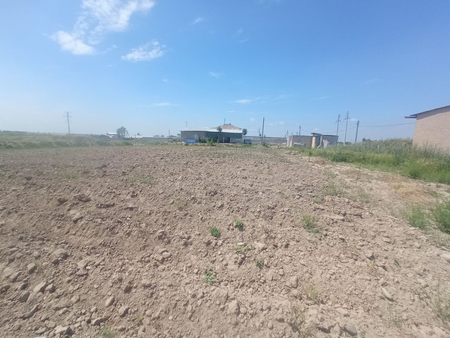 50 sotix hovli sotiladi