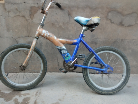Velosepet 16 razmer