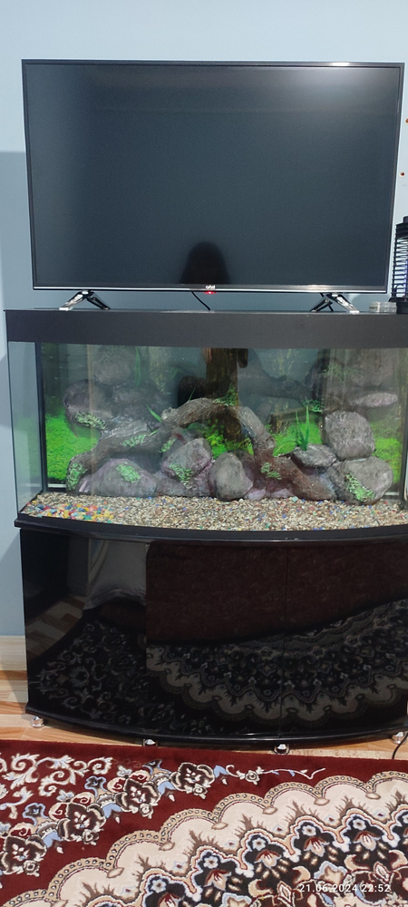 Akvarium holati zoʻr