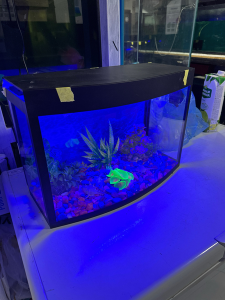 Akvarium va Baliqlar dokoni