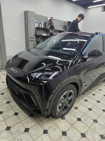 Byd segull 14000