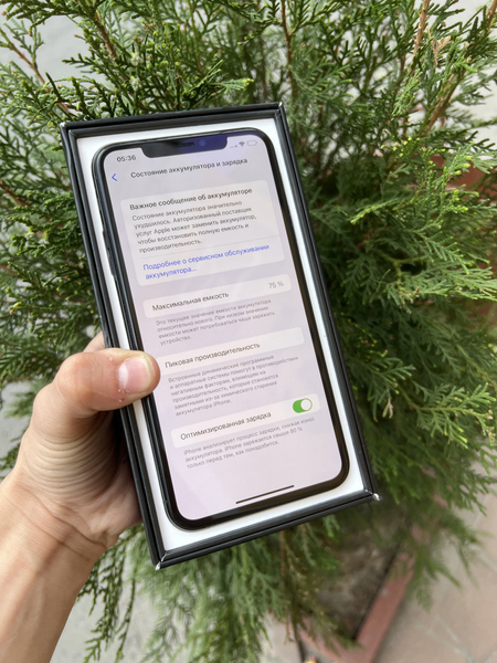 iPhone 11 pro max 256gb
