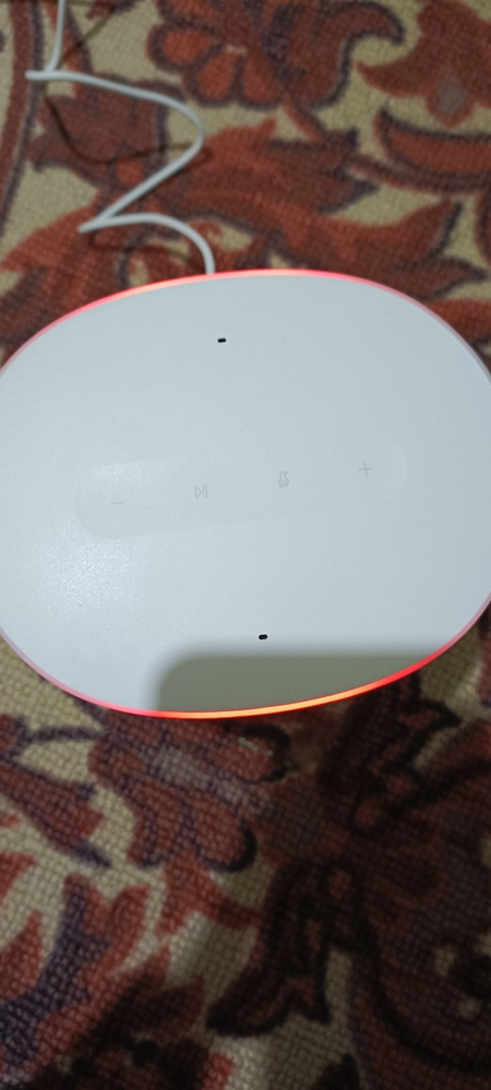 Mi Smart Speaker