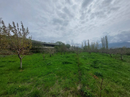 Chinorda 5 gektar yer maydoni sotiladi
