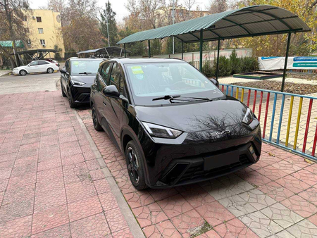 BYD Seagull full Qora 2023 