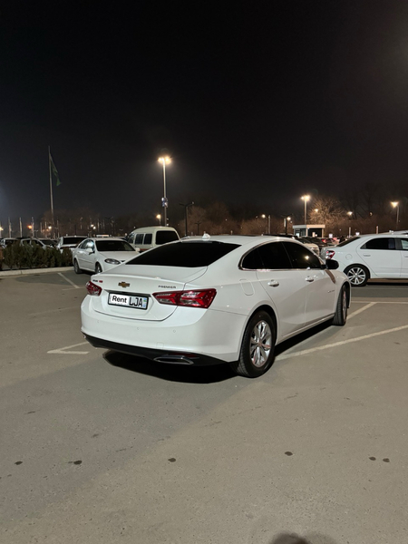 Rent car 24/7 prokat avto