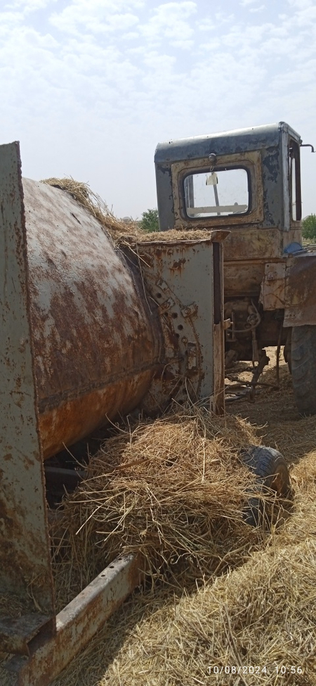 Dikiv va t 25 sotiladi