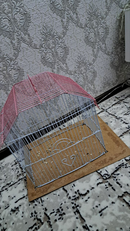 Клетка для животных