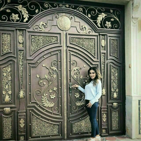 Варота и ришотка перила навес