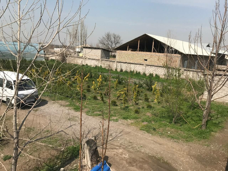 Продается. Сурум, Куйи-Чирчикский район, теплица