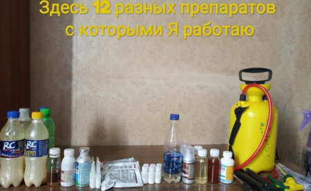 Дезинфекция (Dizinfeksiya)(Dizenfeksiya) против клоп, таракан и мухи