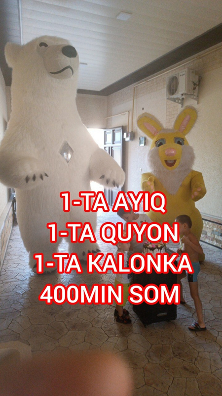 Ayiq ayiqlar teddy oformleniya