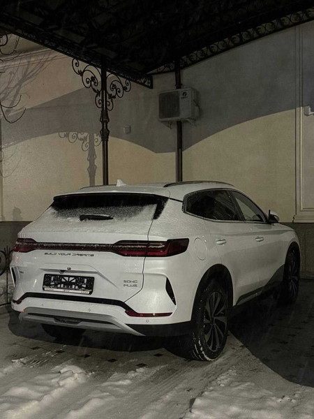 UMID AVTODAN BYD son plus champion avtomobili yillik 14%dan