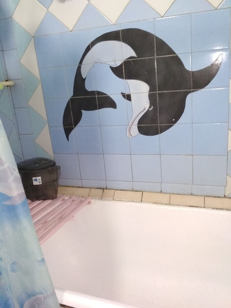 Kvartira ayol,qizlarga