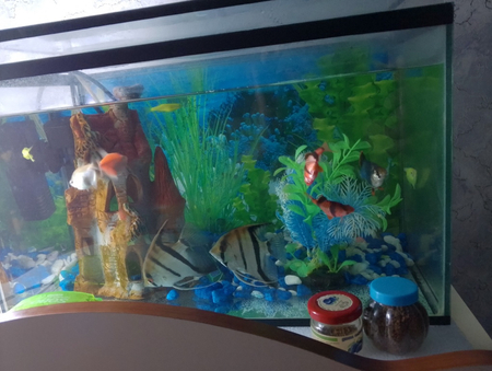 Akvarum 30 litr kamplekt