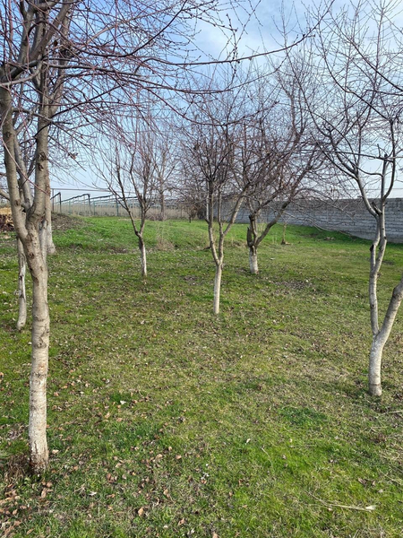 Uchastka sotiladi 12sotik narxini kelishamiza tel nomer: