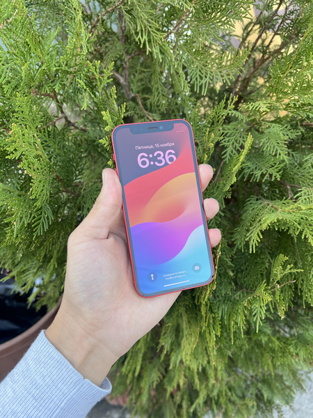 iPhone 12 mini Ideal