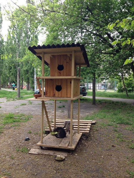 Домик для кошки в Ташкенте.