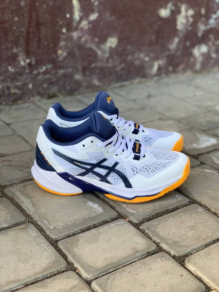 Asics Vallibolniy