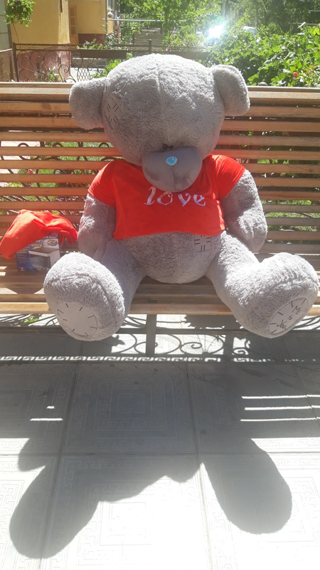 Teddy teddi xitoy orginal 100 %