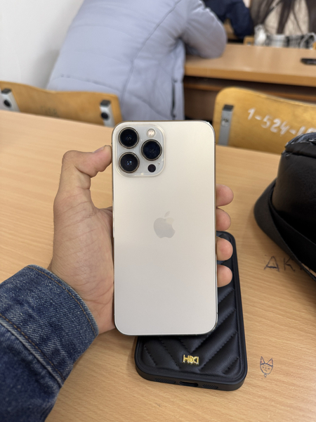 Iphone 13 pro max 256 gb