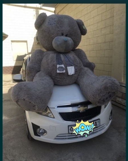 Teddy va boshqa yumshoq oʻyinchoqlar