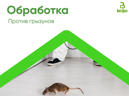 Дезинфекция в Ташкенте