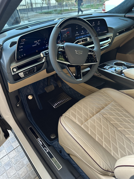 9D polik / коврики для Cadillac Lyriq