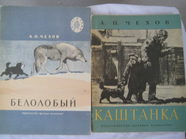 книги по школьной программе